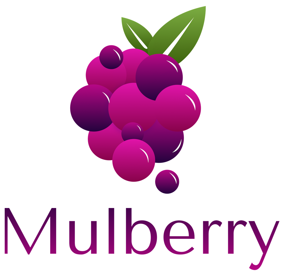 Mulberry Logo